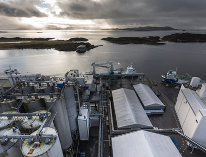 Locations | Cargill Norway